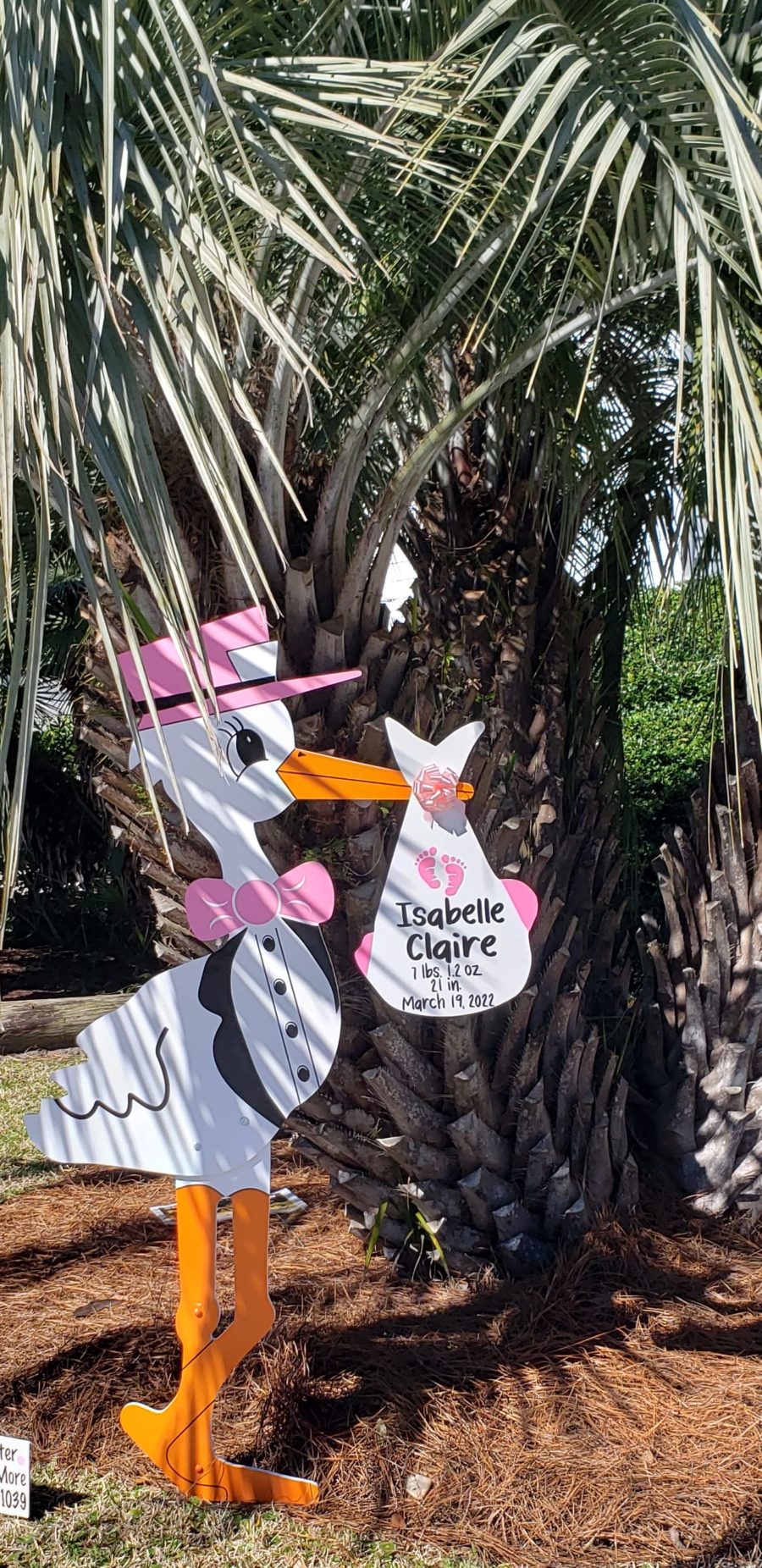 March Announcements - Salt Water Storks and More